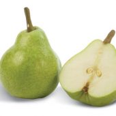 What Do Wild Rabbits Eat? - Rabbits Life