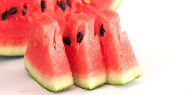 Can rabbits eat watermelon? Avoid any health issue - rabbits.life