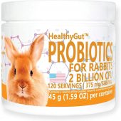 Best Vitamin Supplements for Rabbits - Rabbits Life