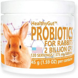 Best Vitamin Supplements for Rabbits - Rabbits Life