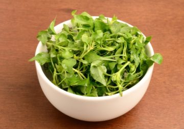 22 Best Foods for Wild Rabbits - Rabbits Life